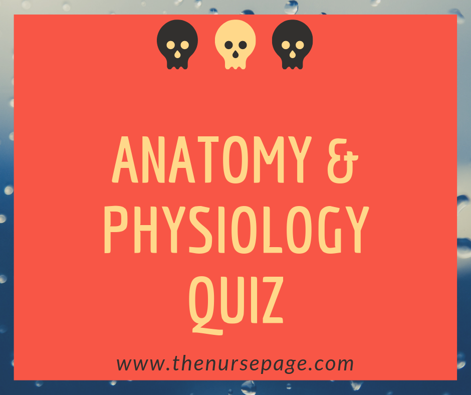 Anatomy And Physiology Nursing Quiz Questions The Nurse Page