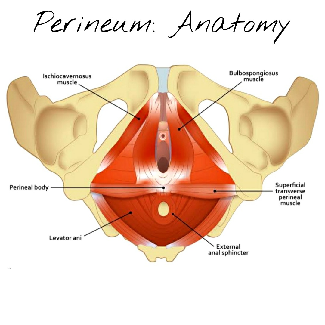 Proper Perineal Care Helps to Prevent Postpartum Infections & UTIs - The Nurse Page